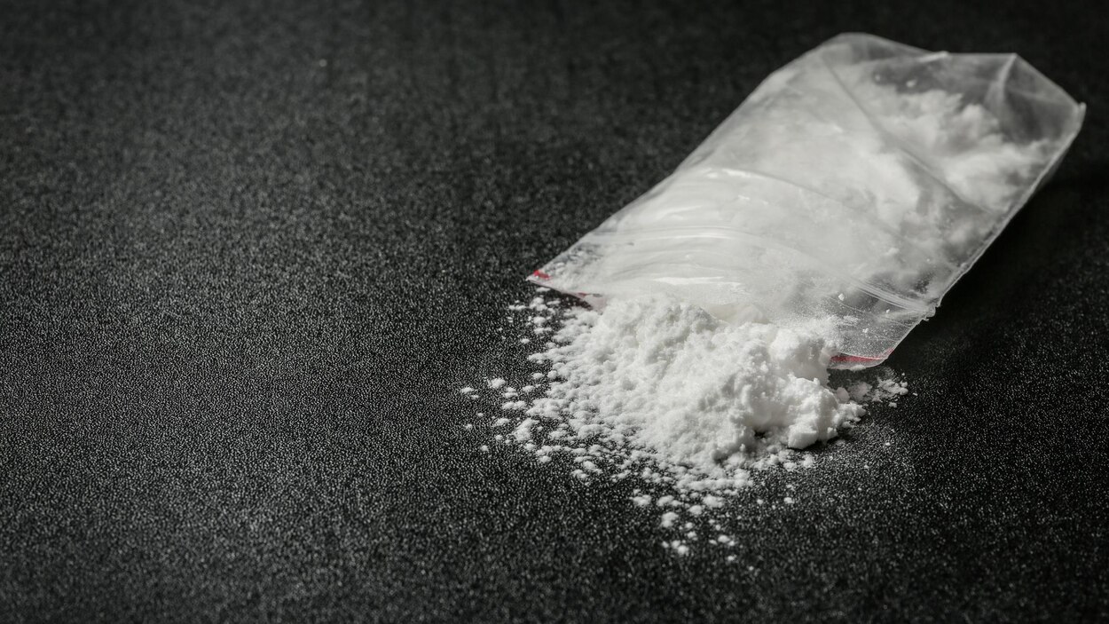 500 g de cocaïne et 2000 comprimés de médicaments saisis à Rimouski ...