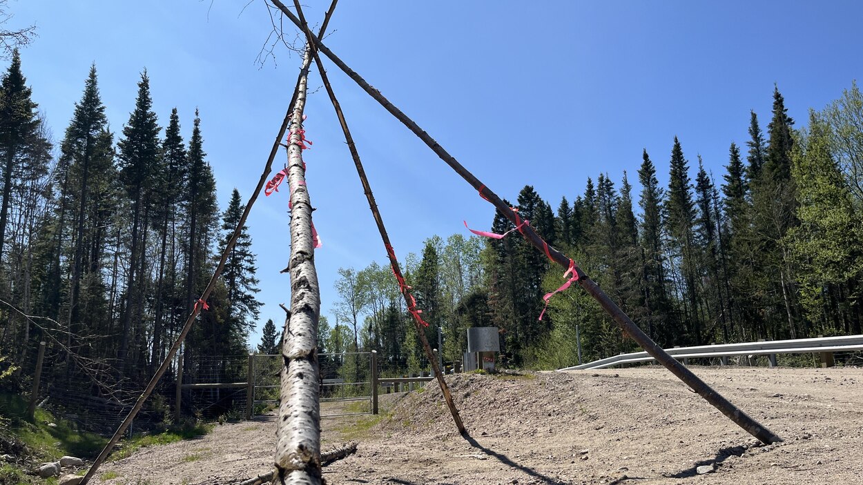 Blocus forestier : le conseil de bande de Mashteuiatsh se dissocie de ...