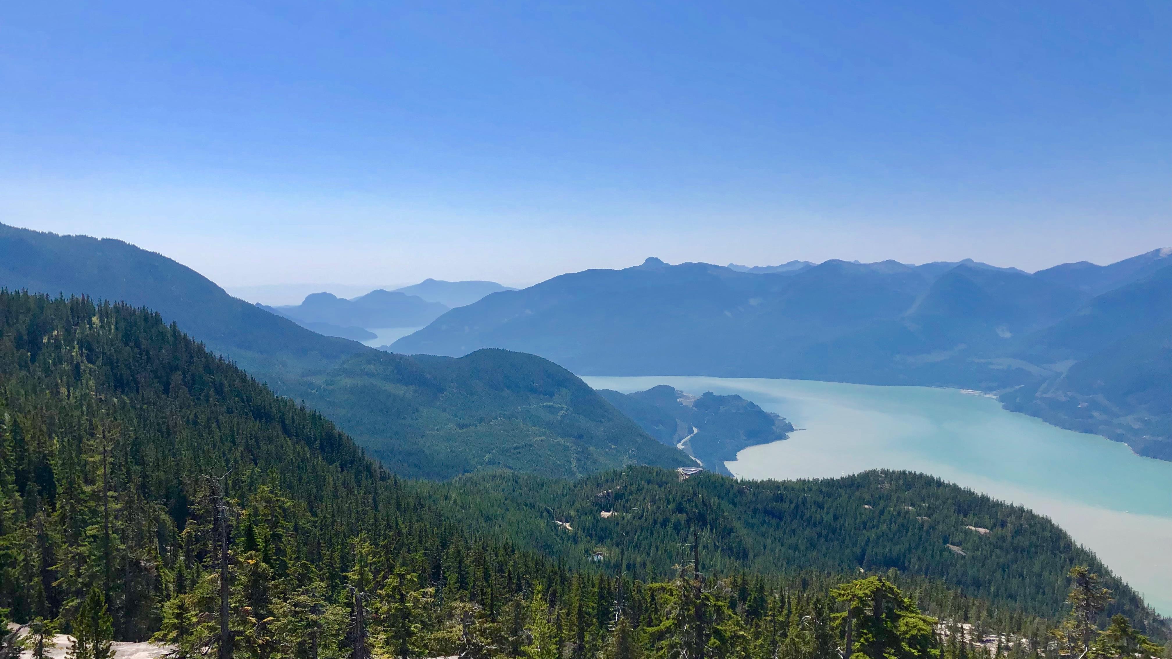 Comprendre les fjords de la C.-B. avec l’ADN des poissons | OHdio ...