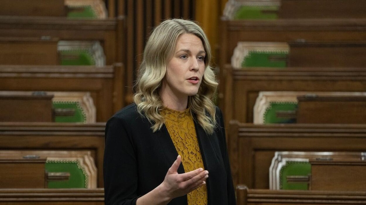 Conservative MP accused of insulting francophones by asking minister to ...