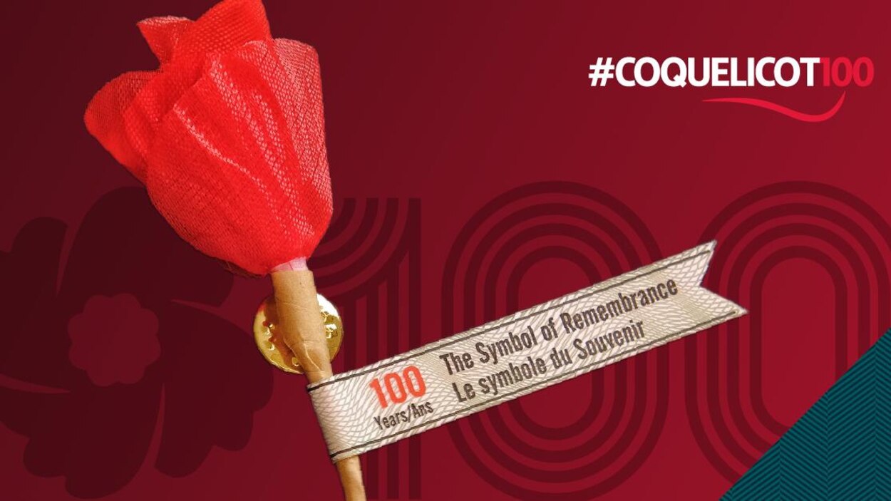 Le coquelicot du jour du Souvenir fête ses 100 ans | Radio-Canada