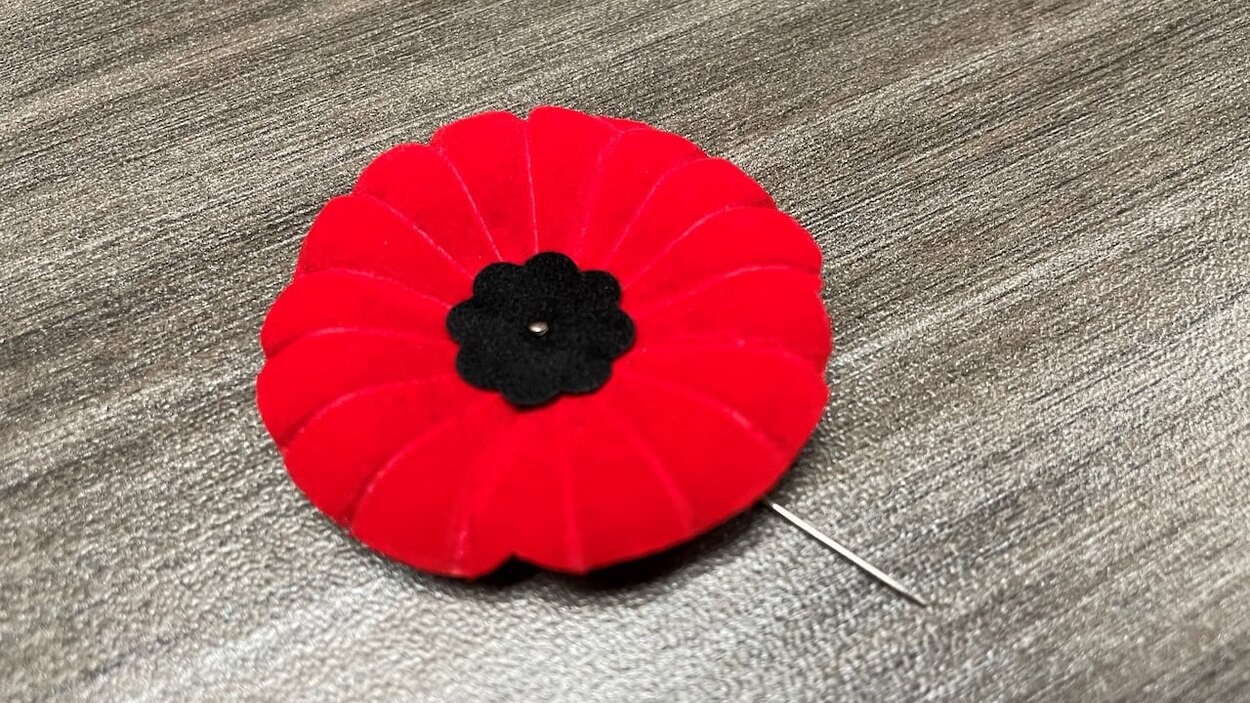 Scanner un coquelicot pour apprendre l’histoire des soldats tombés au ...