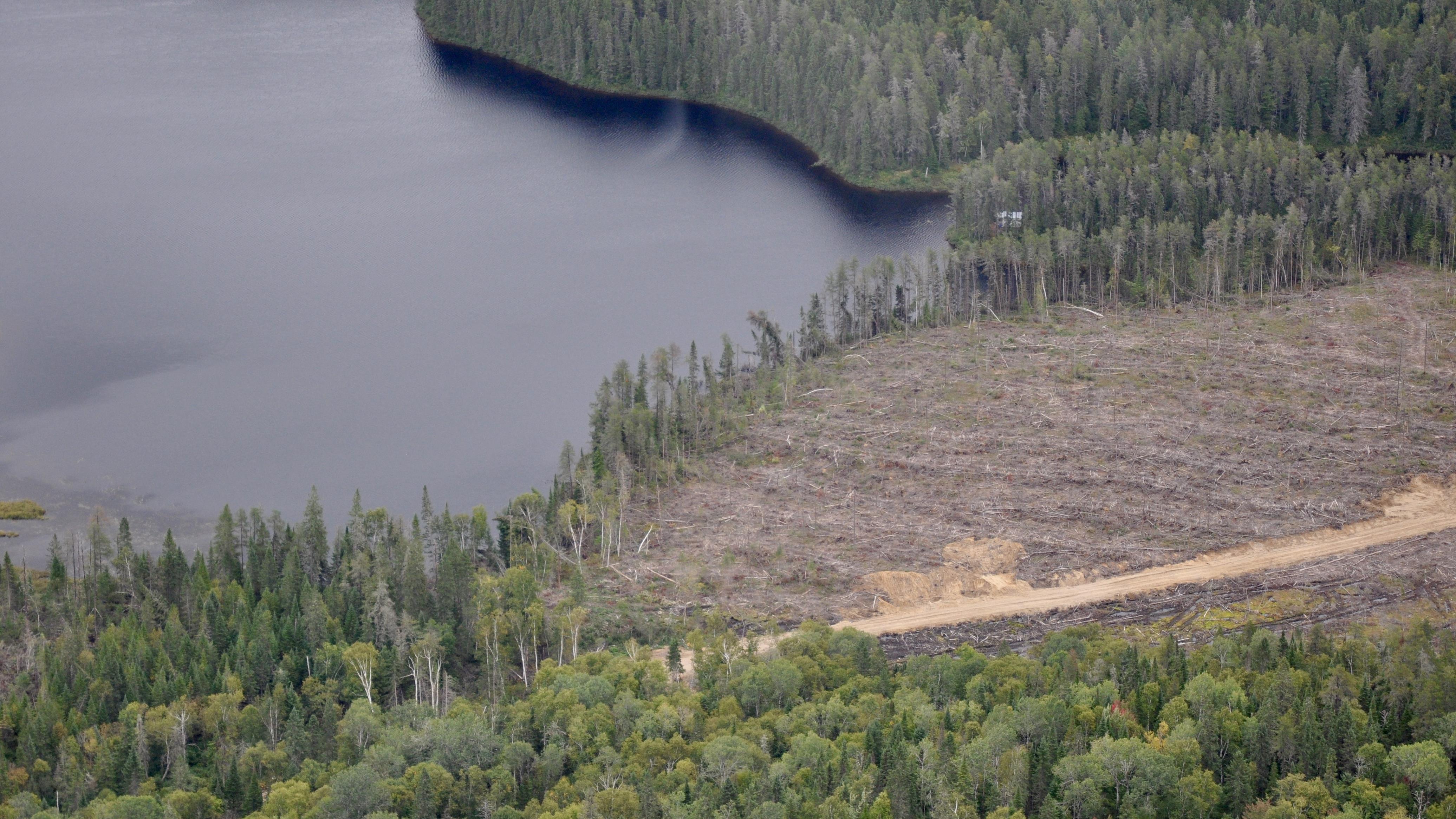 20 ans après L’erreur boréale, exploite-t-on la forêt différemment ...