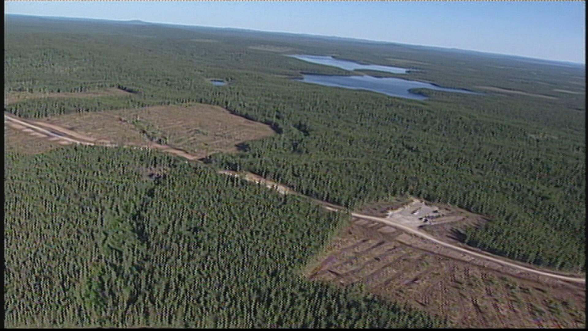 Changements importants en foresterie | OHdio | Radio-Canada