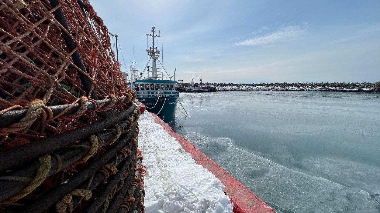 La N.-É. lèvera son moratoire sur les permis de fruits de la mer en ...