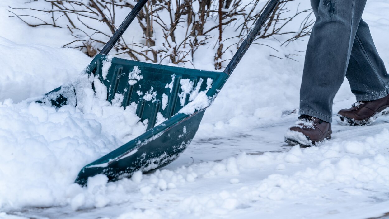 Tempête : jusqu’à 25 cm de neige pour le nord du Nouveau-Brunswick ...