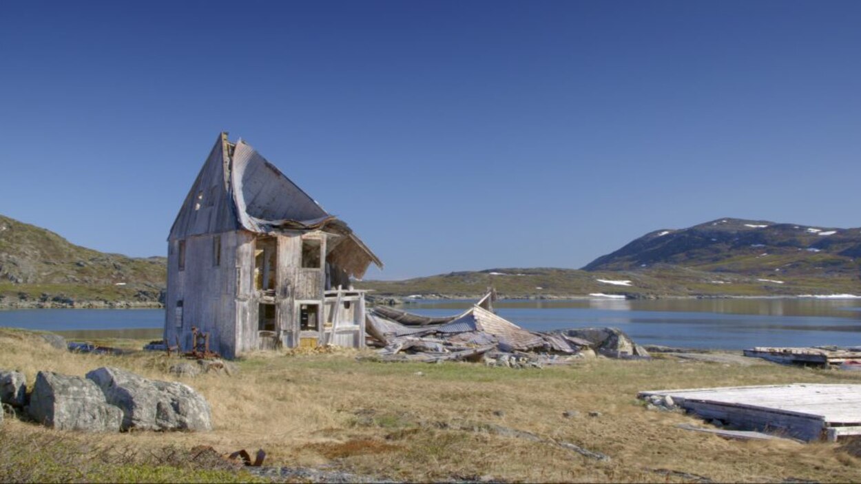 Director hopes film on Hebron relocation can both educate and spark healing | Radio-Canada.ca