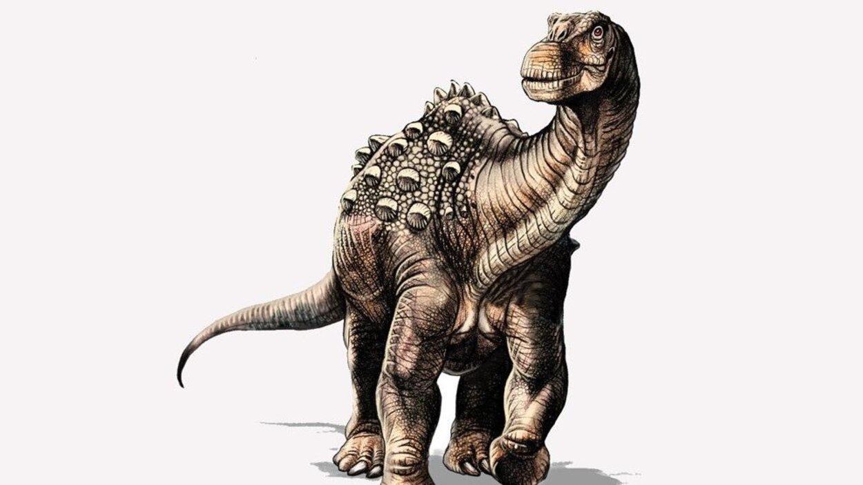 Voici le Yamanasaurus lojaensis! | Radio-Canada