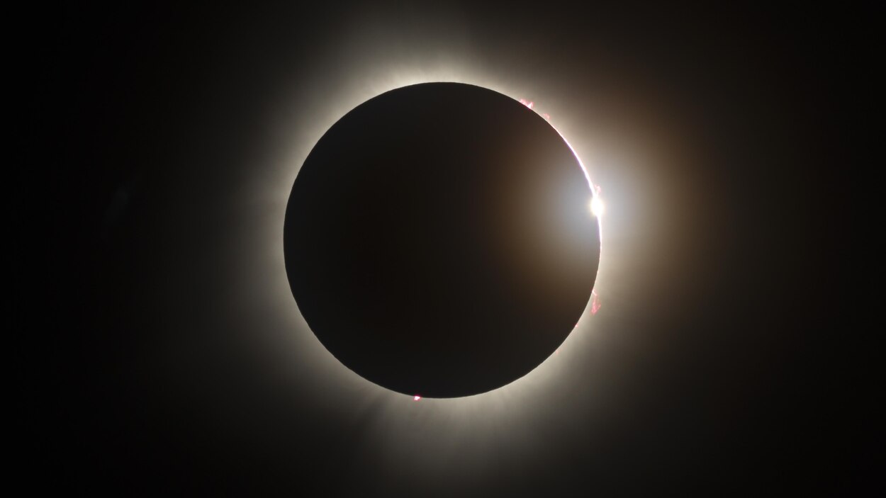 Qu’a-t-on cherché sur Google au Canada en 2024? | Bilans de l'année ...