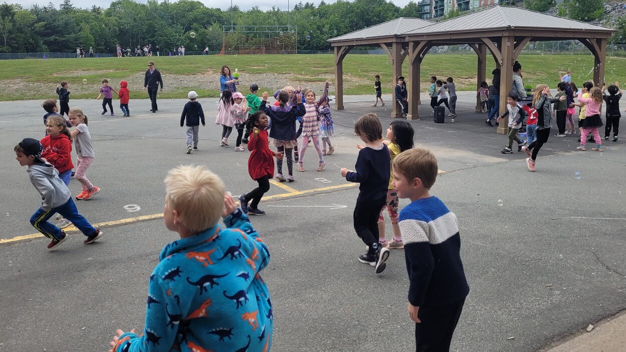 Bilan de l’année au CSAP : beaucoup de hauts et de bas | Radio-Canada