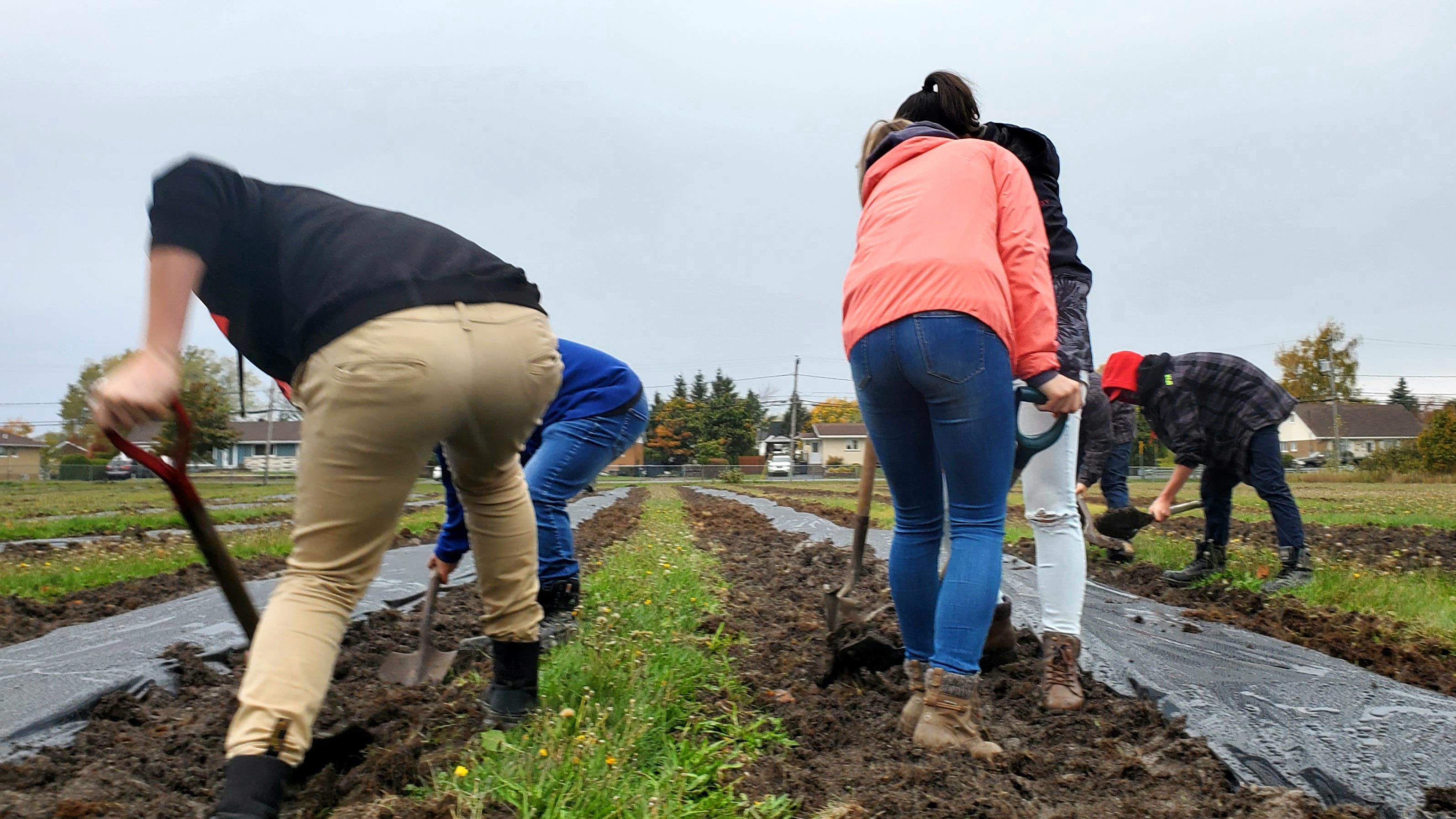 La plantation d'une forêt nourricière est en cours à l'École secondaire ...