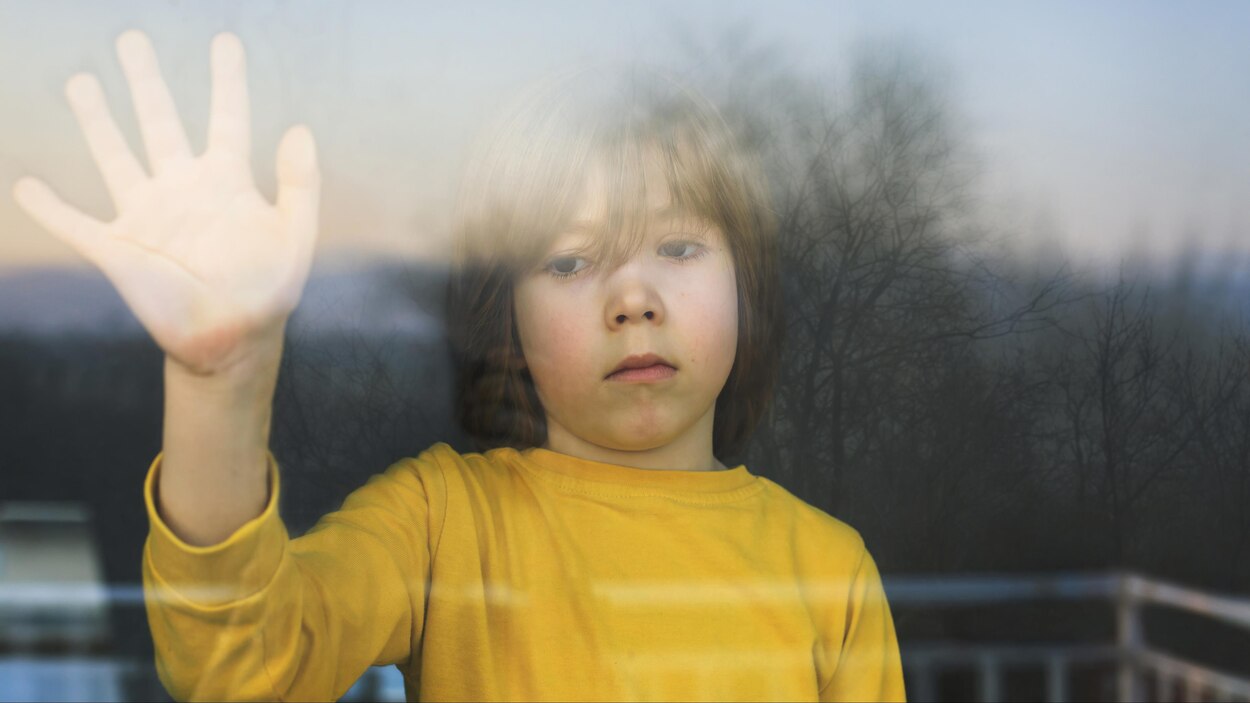 Un circuit cérébral endommagé par l’isolement social pendant l’enfance ...