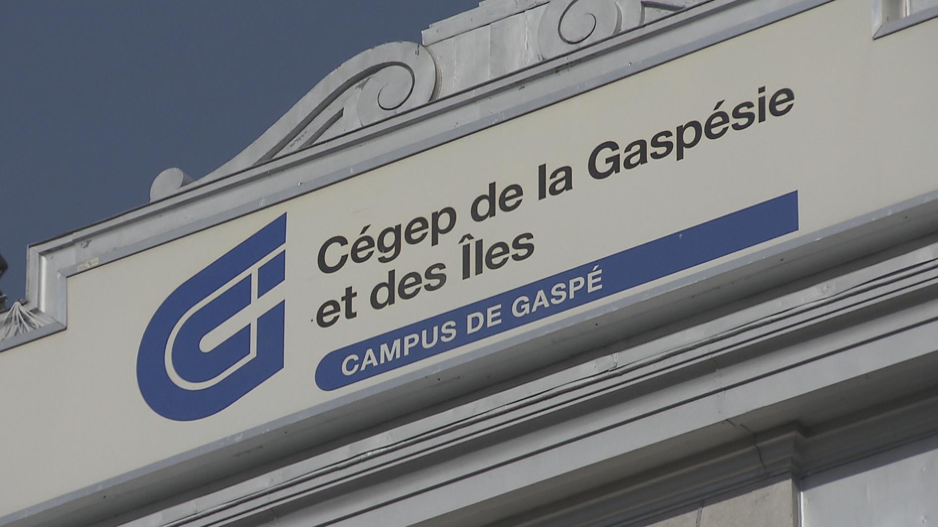 Des étudiants gaspésiens demandent de meilleures conditions de stages ...