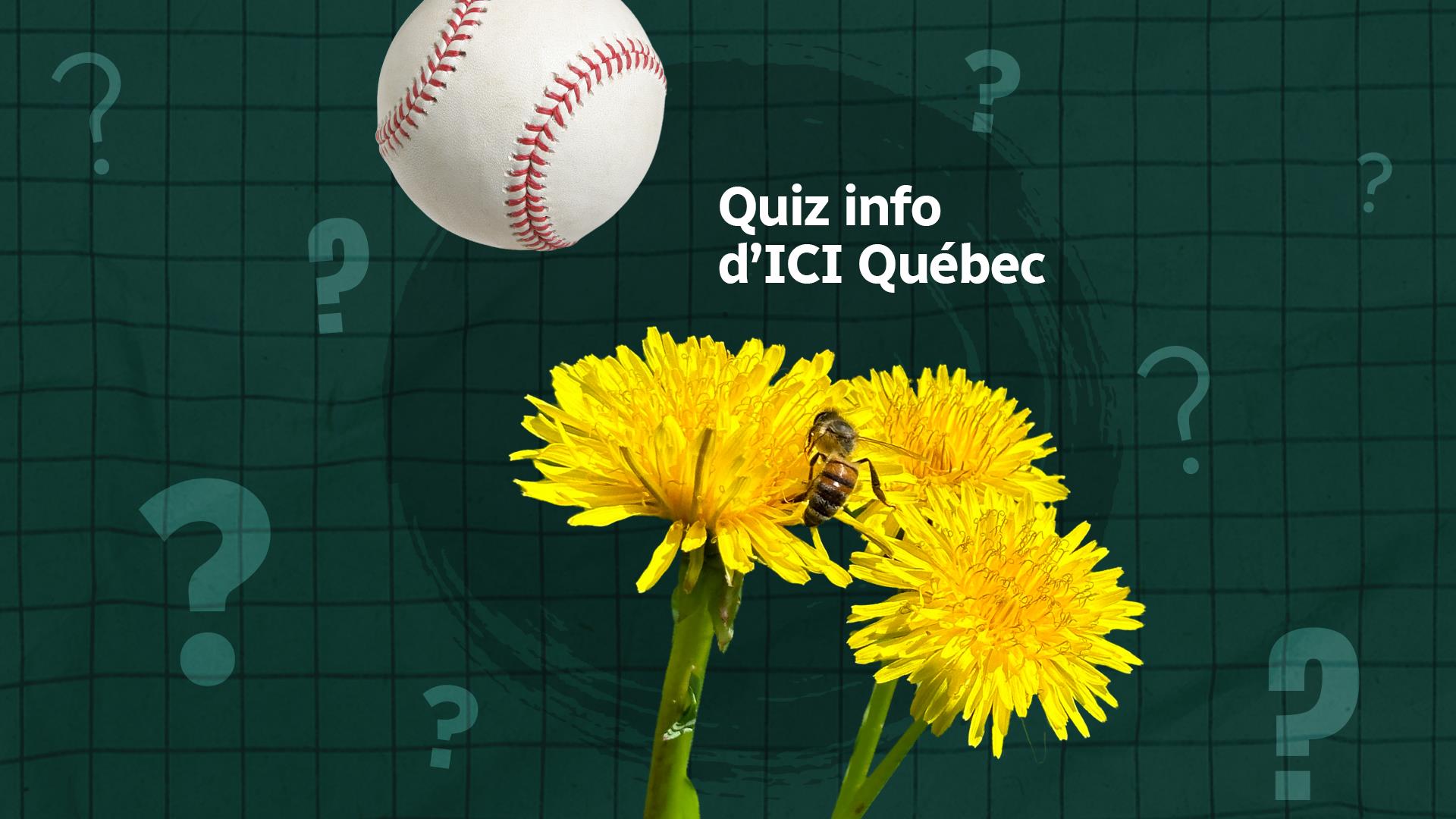 Quiz | Le quiz info d'ICI Québec | Le quiz info d'ICI Québec | ICI ...