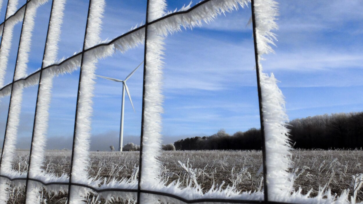 Une étude d’impact environnemental est déposée pour le mégaprojet ...