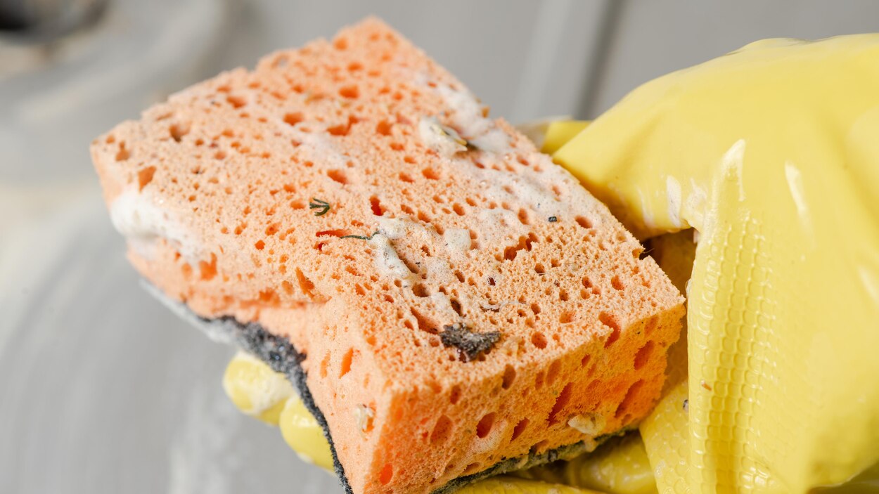 Éponge de cuisine dégoûtante? La structure également montrée du doigt ...