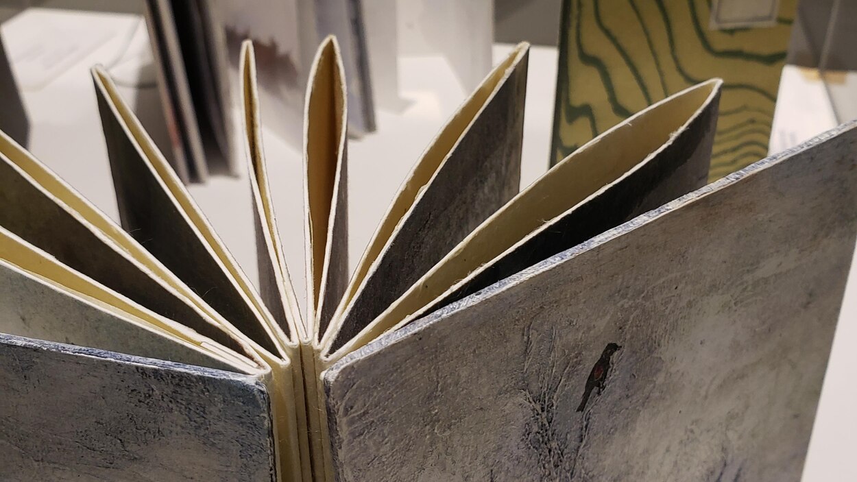 Exposition : le livre comme objet d'art | Radio-Canada