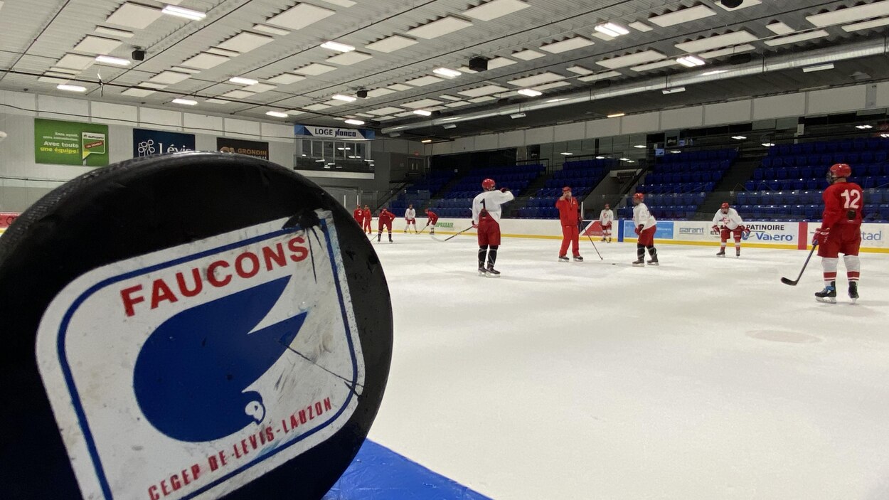 La renaissance des Faucons au hockey | Radio-Canada