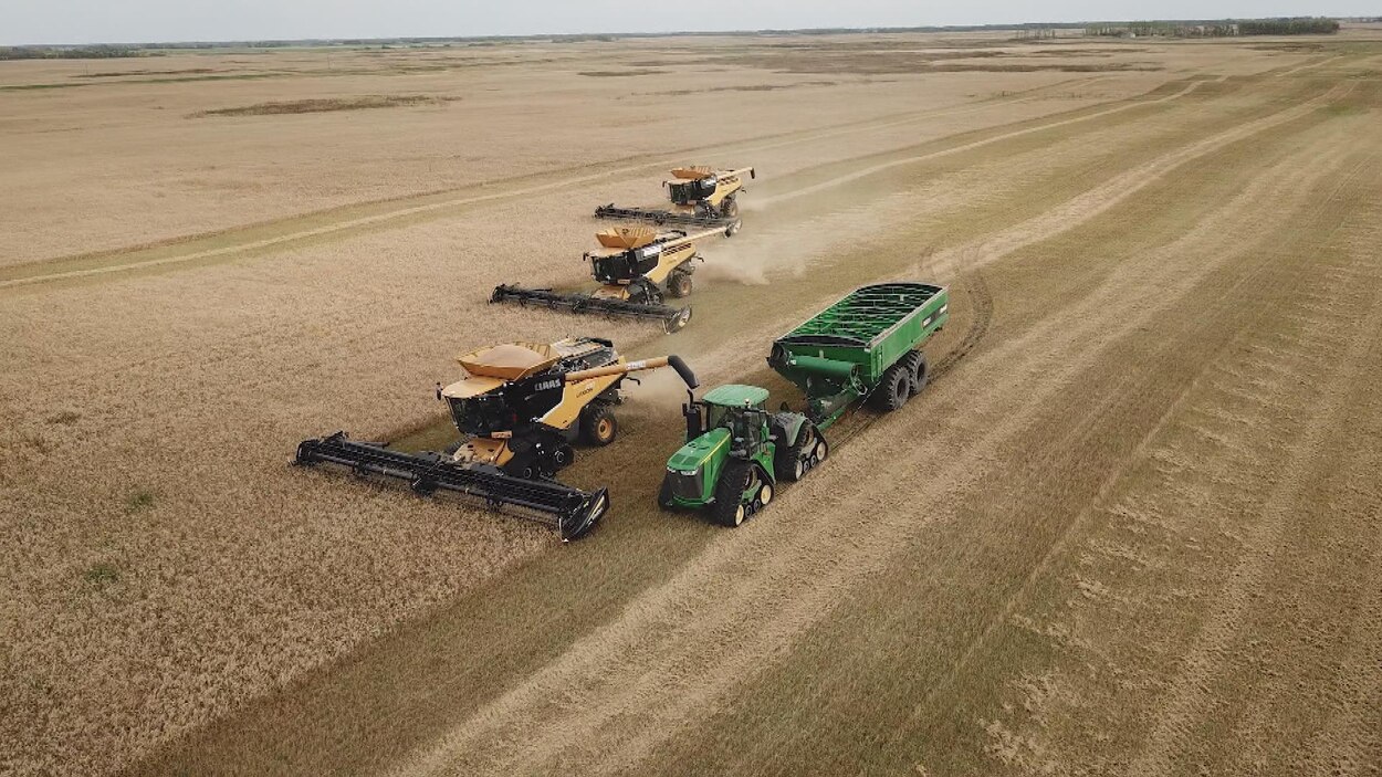 Une ferme bio géante dans les Prairies qui pourrait révolutionner votre ...