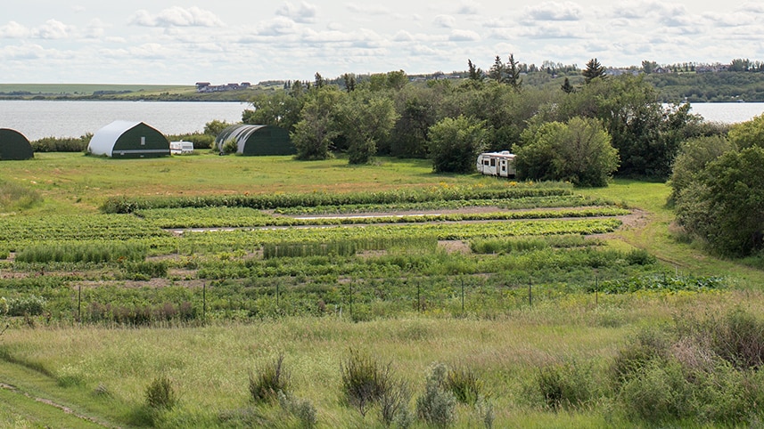 Un producteur agricole de la région de Cochin est la vedette d'un ...