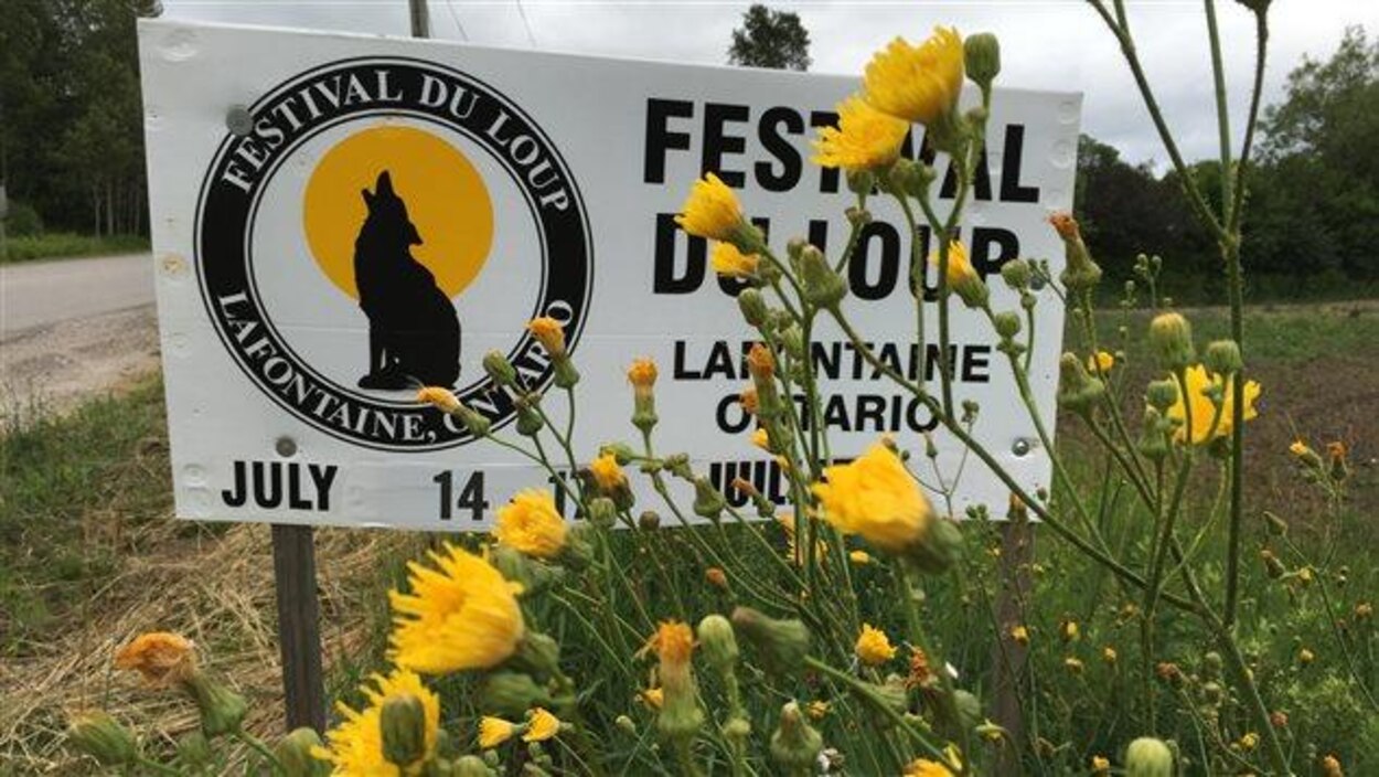 Place aux hurlements du Festival du Loup de Lafontaine | Radio-Canada