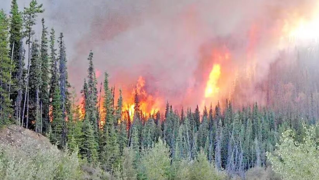 Feux de forêt : Québec demande à la population d’éviter de circuler en ...