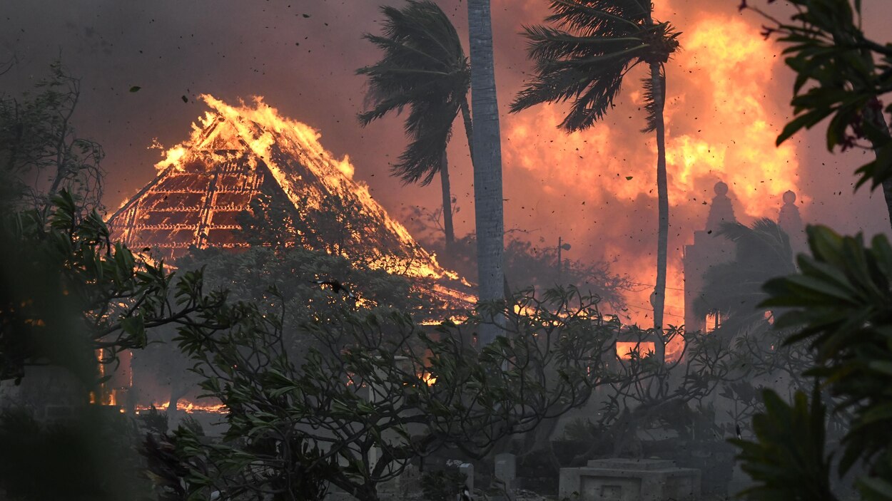 Les incendies à Hawaï parmi les catastrophes les plus meurtrières de l ...