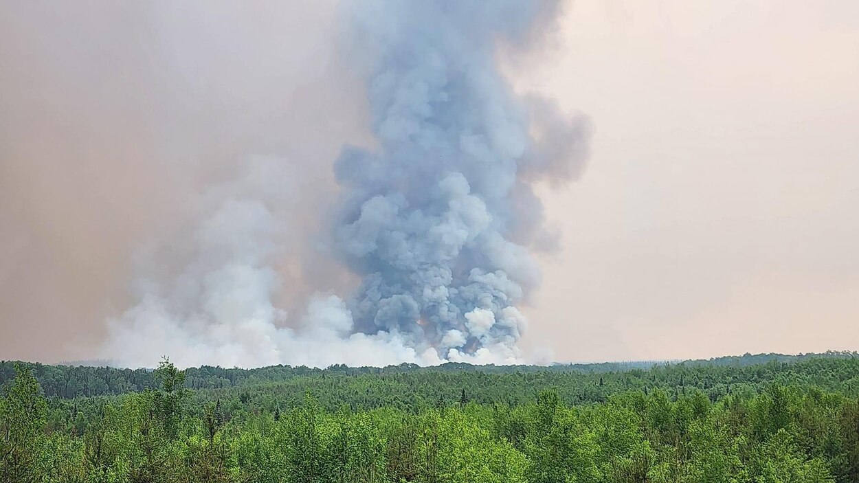 La SOPFEU prépare sa saison des incendies | Radio-Canada