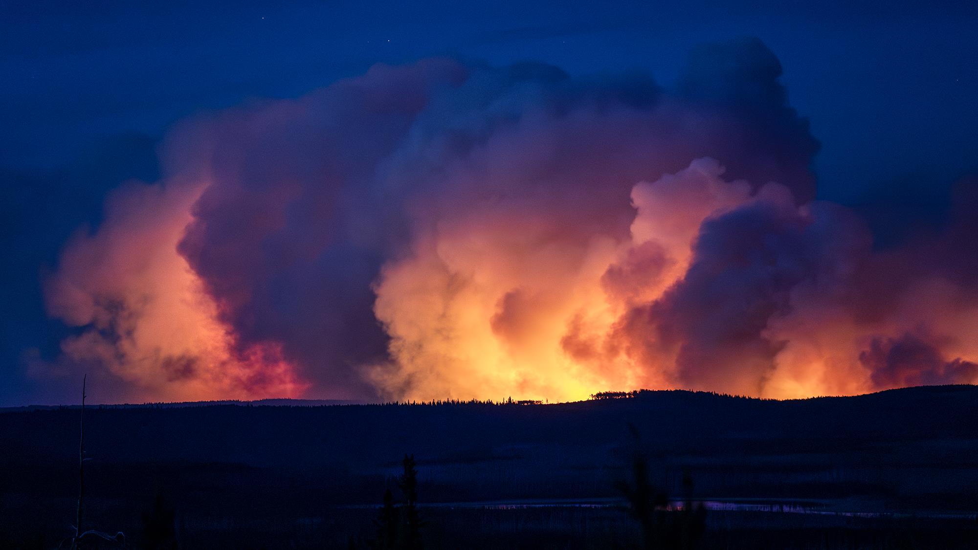 Mieux aménager notre territoire pour contrer les feux de forêt | OHdio ...