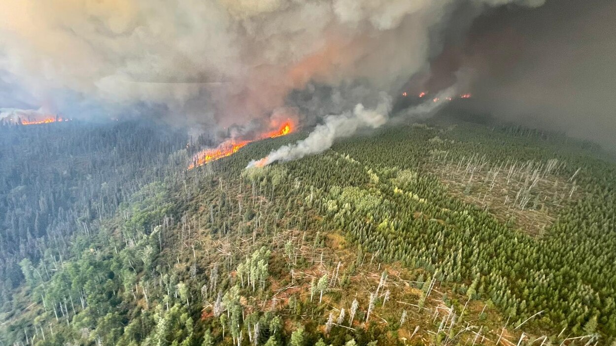 Feu de forêt : les habitants d’Hudson’s Hope peuvent rentrer à la ...