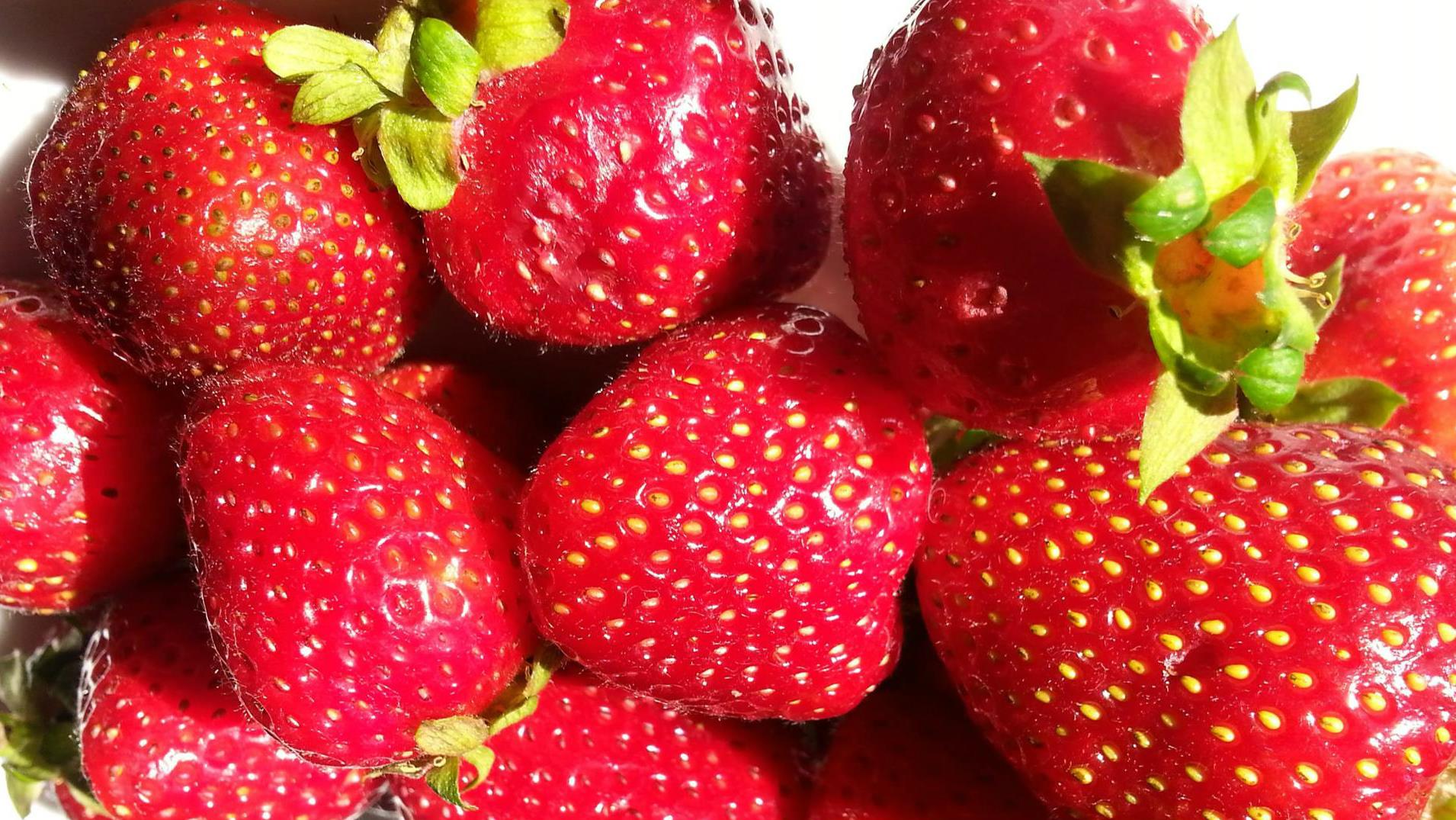 Tout sur les fraises du Québec | OHdio | Radio-Canada