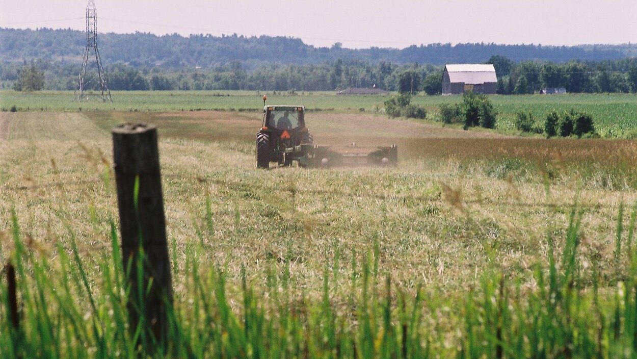 Denis Tassé et Clément Bélanger absents du débat sur l'agriculture à ...