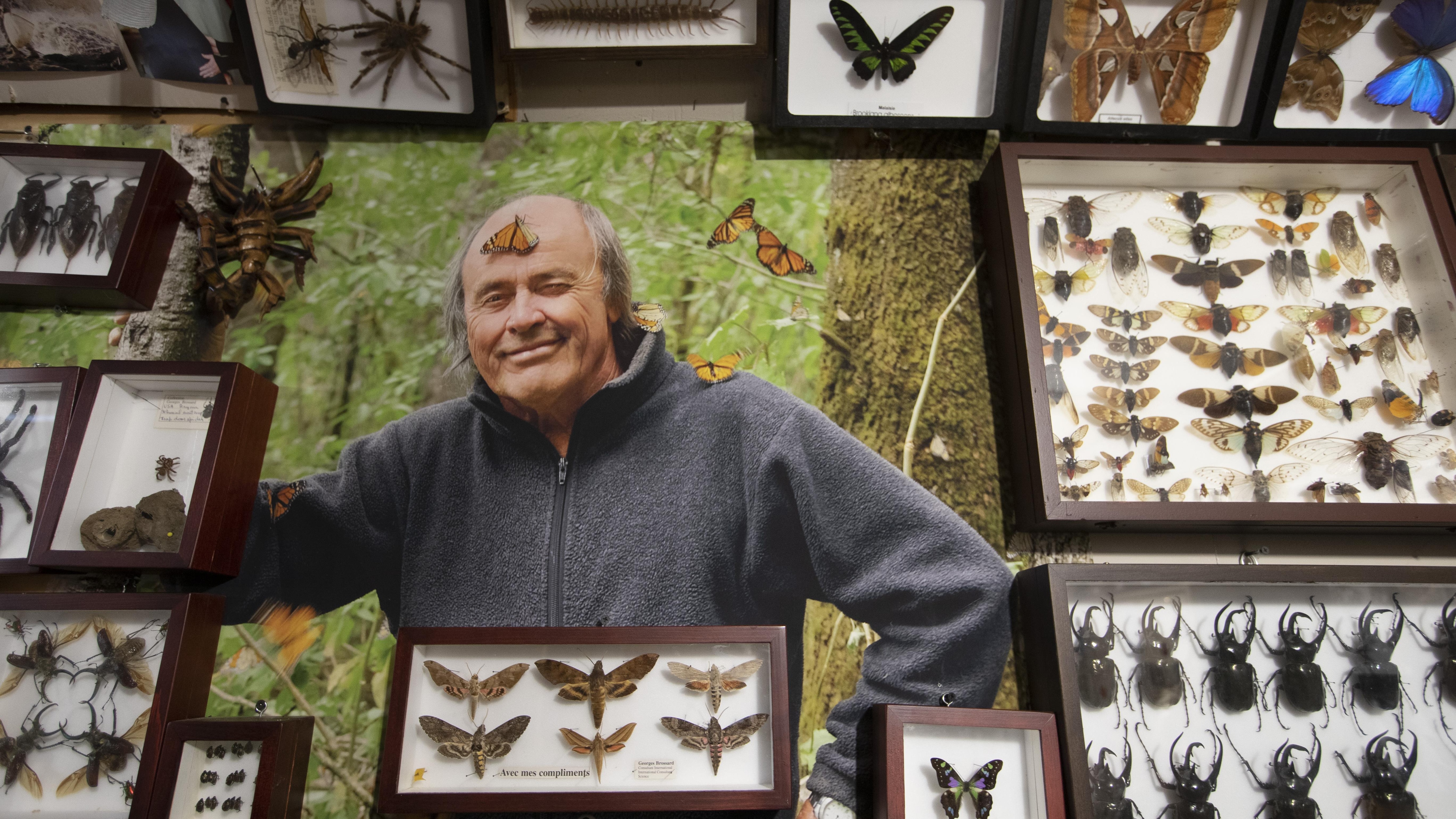 Georges Brossard, le « monarque des insectes », aura-t-il son musée ...