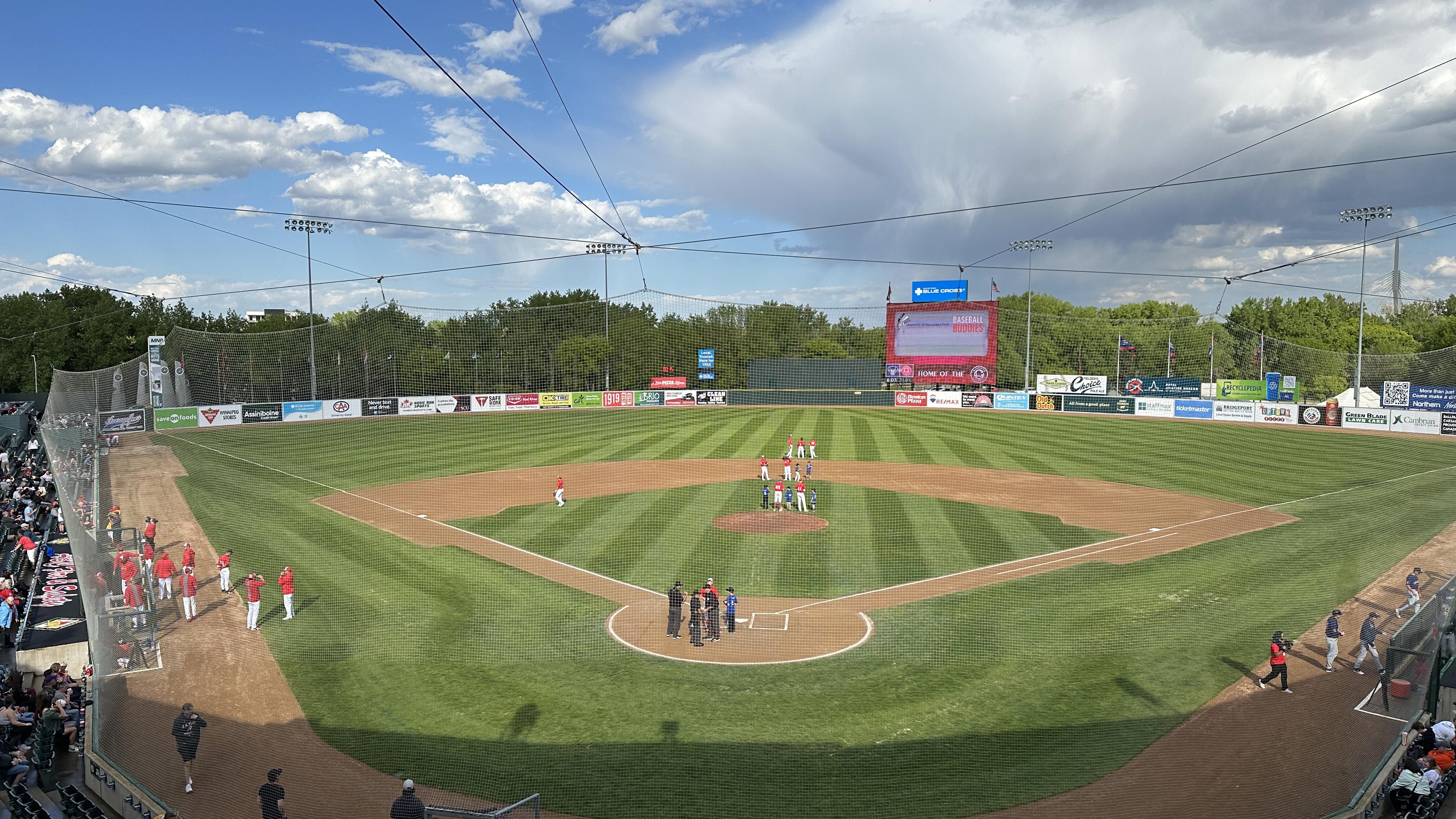 Une soirée dédiée aux partisans francophones des Goldeyes | OHdio ...