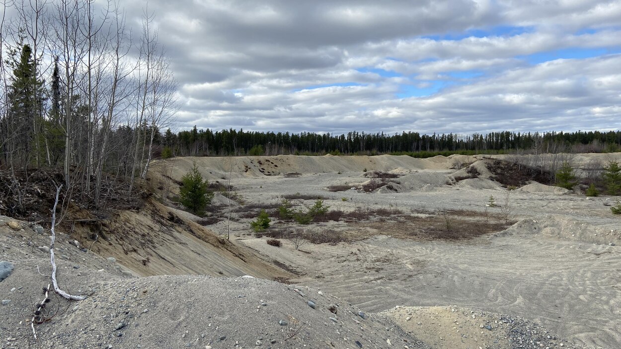 La MRC Abitibi signe l’entente de délégation de gestion | Radio-Canada