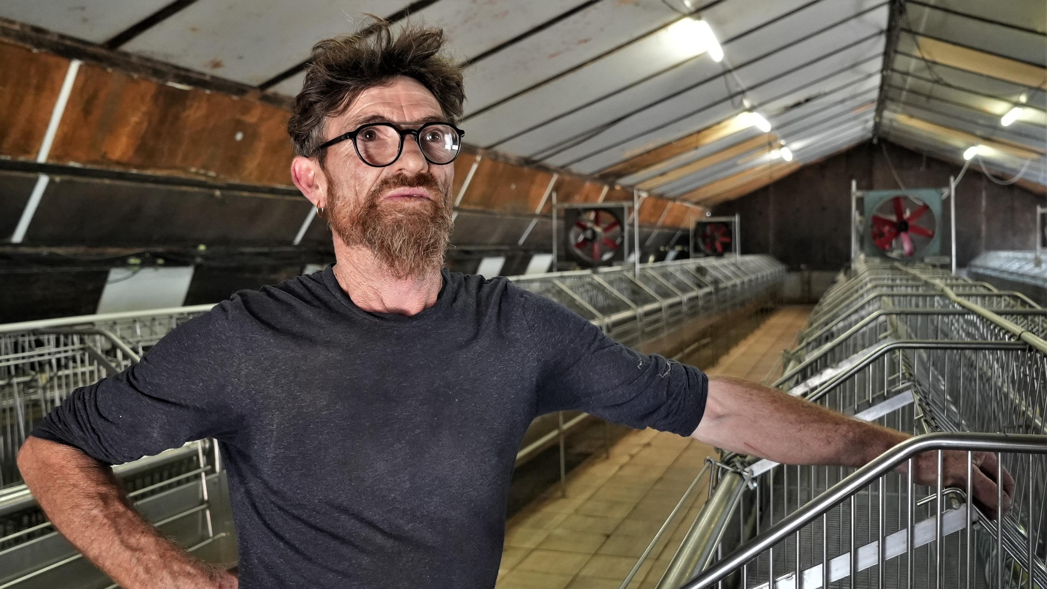 Grippe aviaire : des ravages parmi les producteurs de volailles | Radio ...