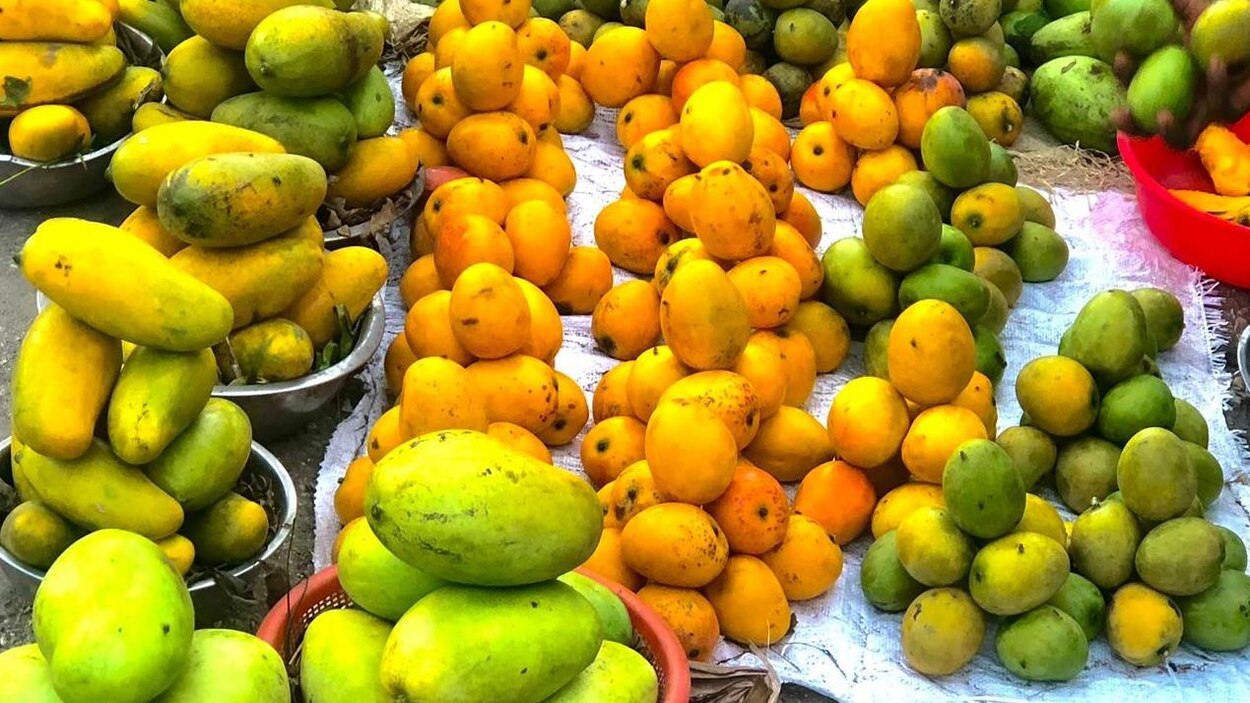 L’importation de mangues haïtiennes de plus en plus rare | Radio-Canada