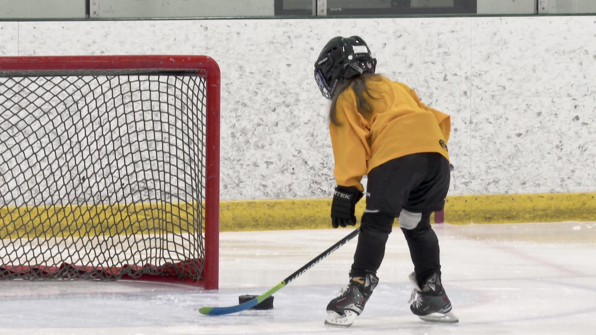 Le hockey mineure pourrait-il bénéficier d’une approche multisport ...