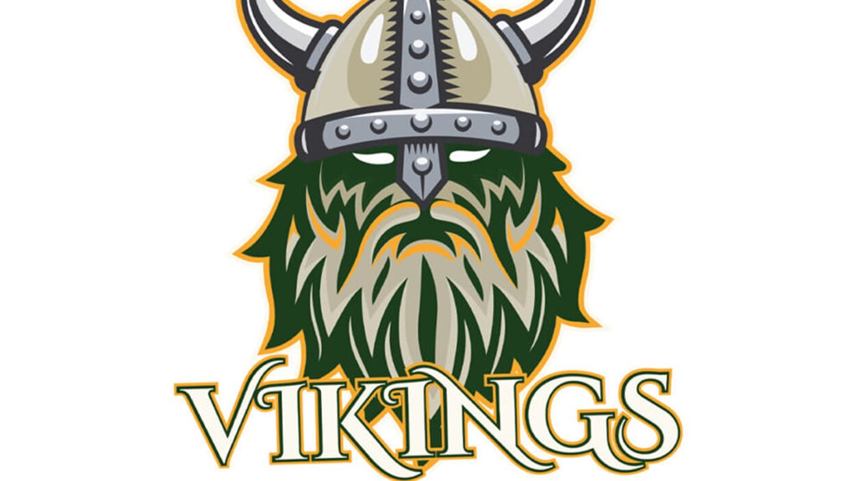 Hockey : Jef Jarmovitch prend les commandes des nouveaux Vikings d ...