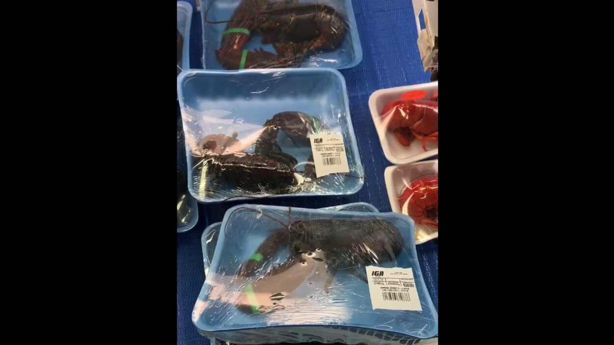 Des homards vivants emballés dans du papier cellophane dans une ...