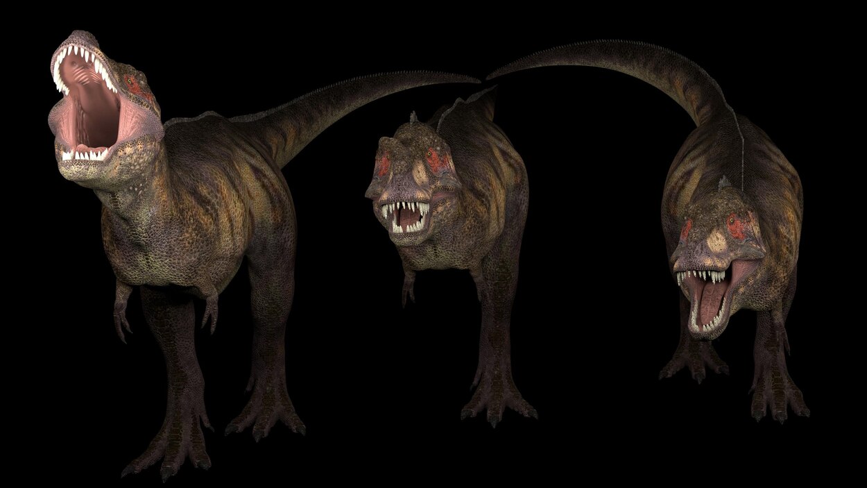 Les T. rex adolescents ont évincé les espèces de dinosaures plus ...