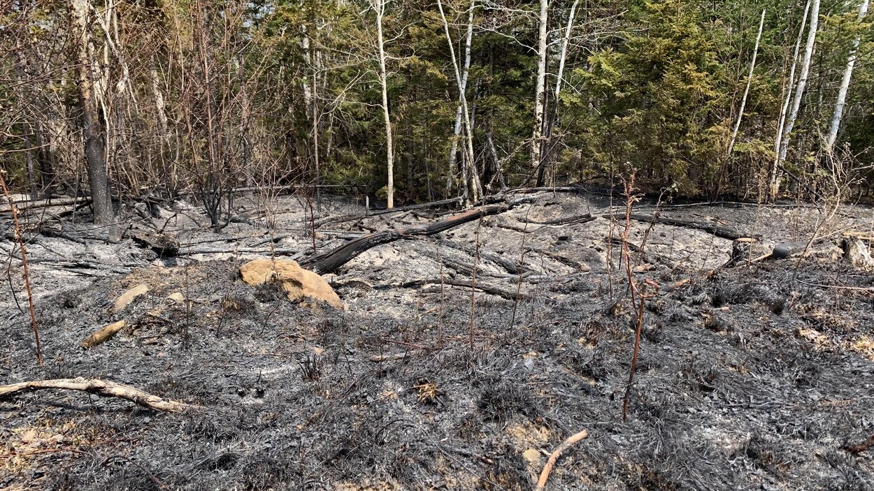 Les efforts continuent pour combattre le feu de forêt de la Baie Sainte ...