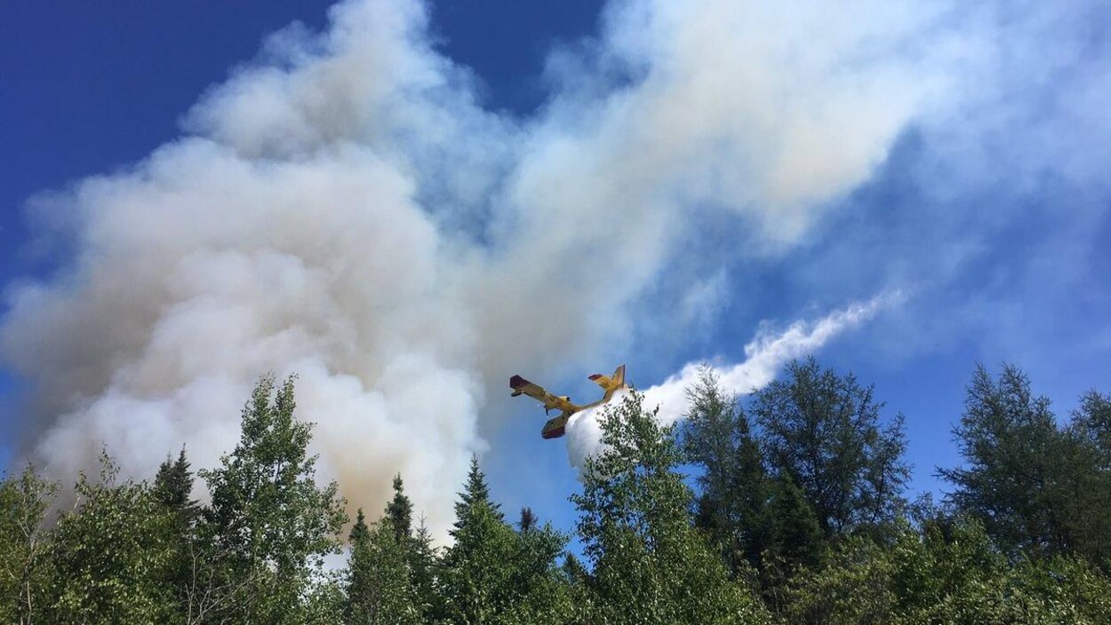 Feu de forêt à Sept-Îles | Radio-Canada