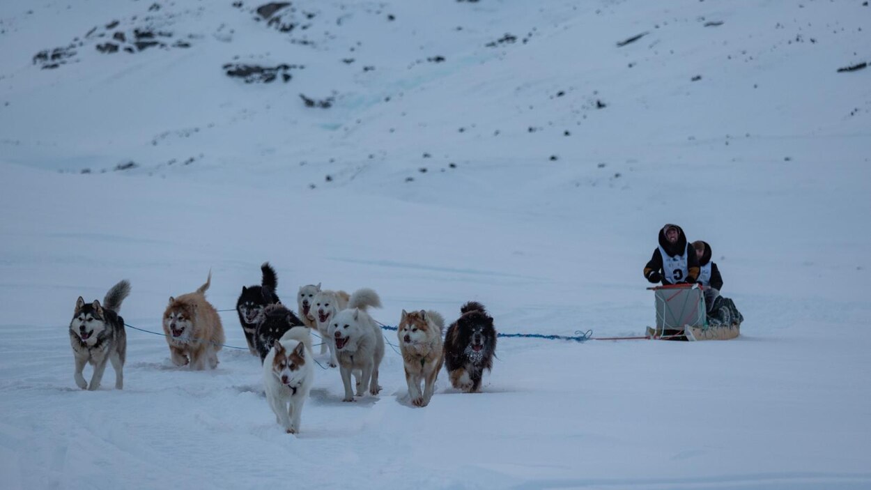 C’est un départ pour la course de chiens de traîneau Ivakkak | Radio-Canada