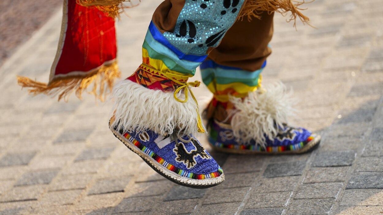 Une professeure de l’Université Carleton lance un dictionnaire français ...