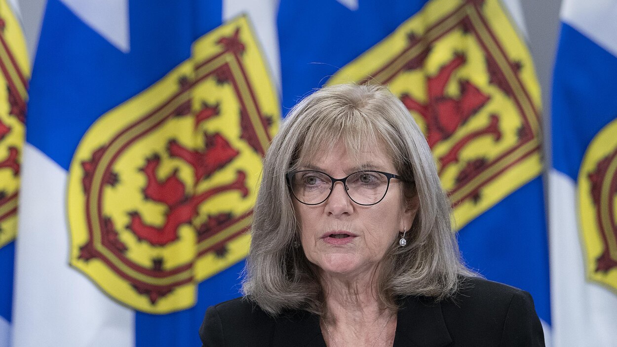 N.S. immigration system working, but could be better, says auditor ...