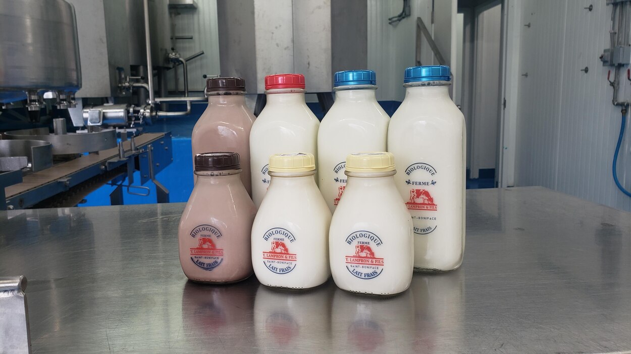 La Laiterie Lampron arrête la commercialisation de son propre lait ...
