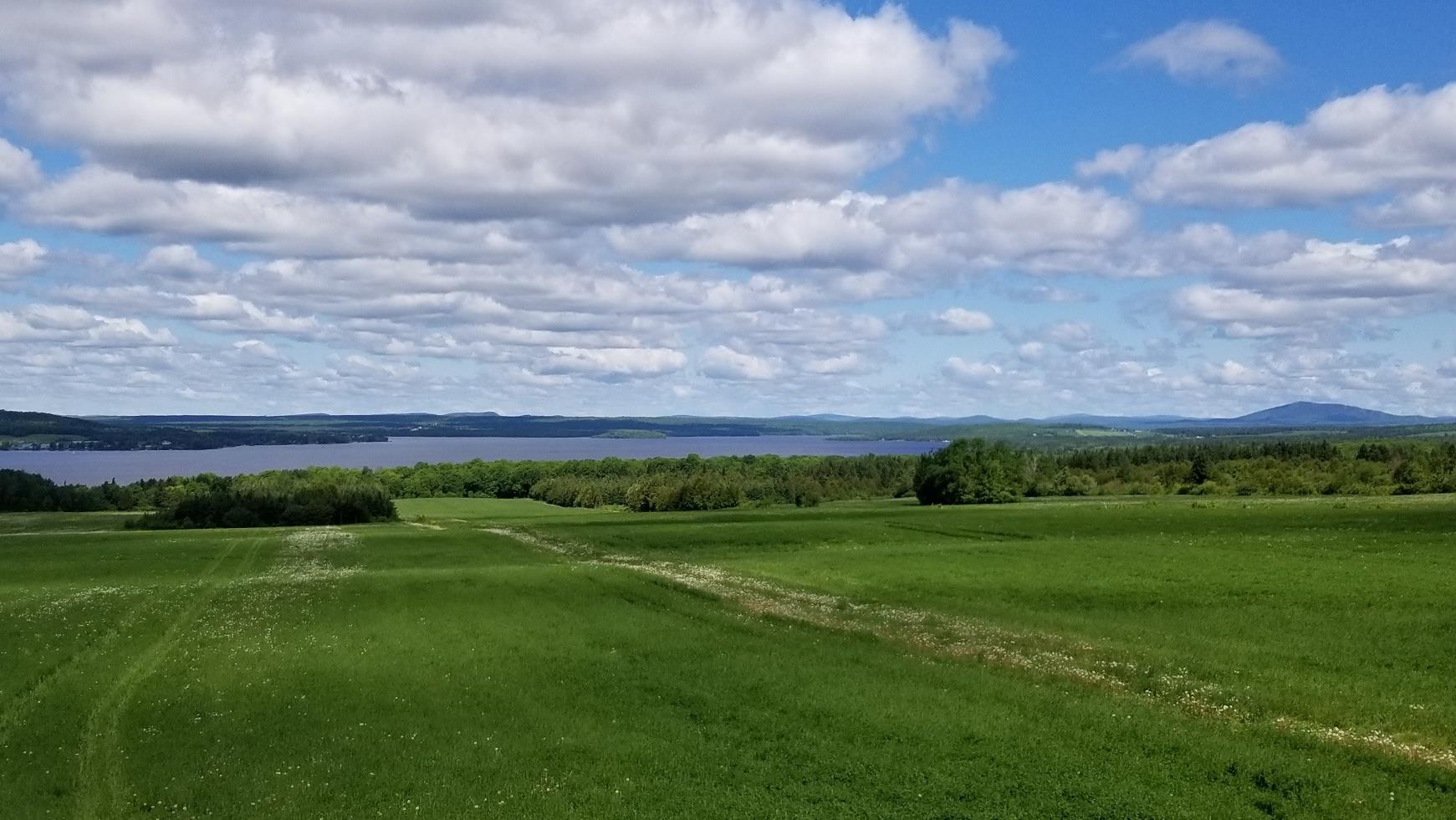 Les trésors cachés de Lambton | OHdio | Radio-Canada