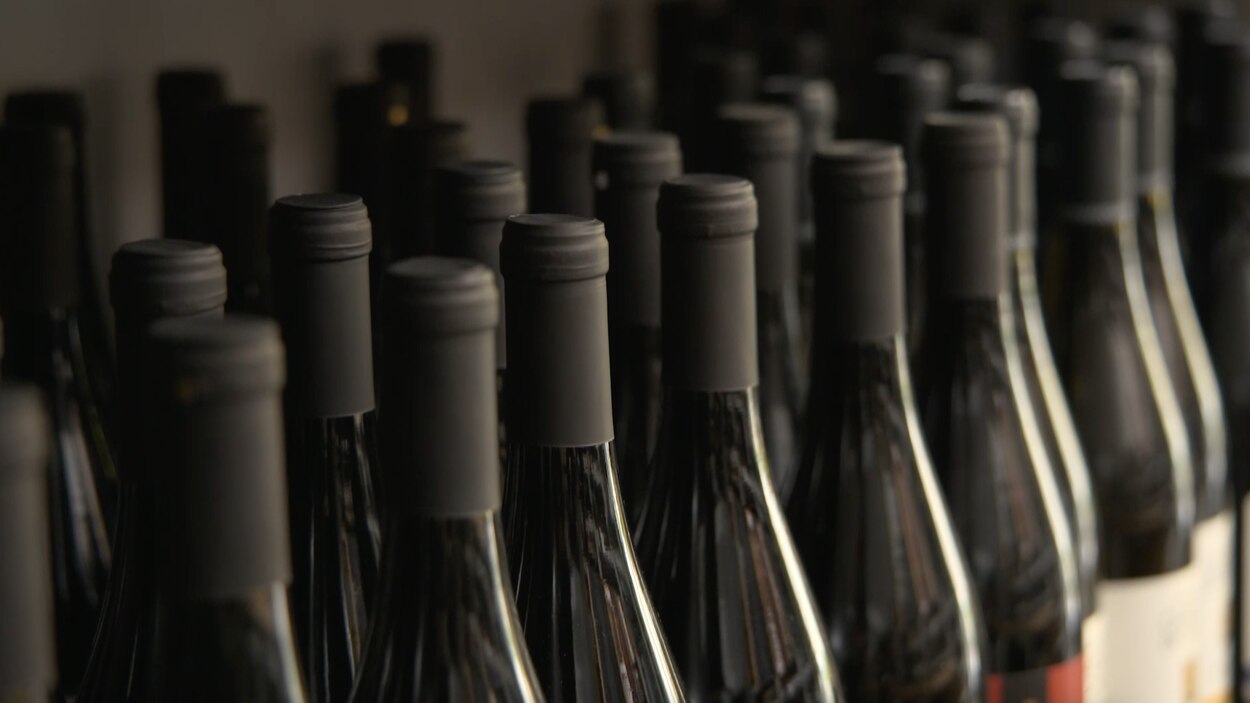 Un vignoble de Brigham lutte contre le gel… avec le vent | Radio-Canada