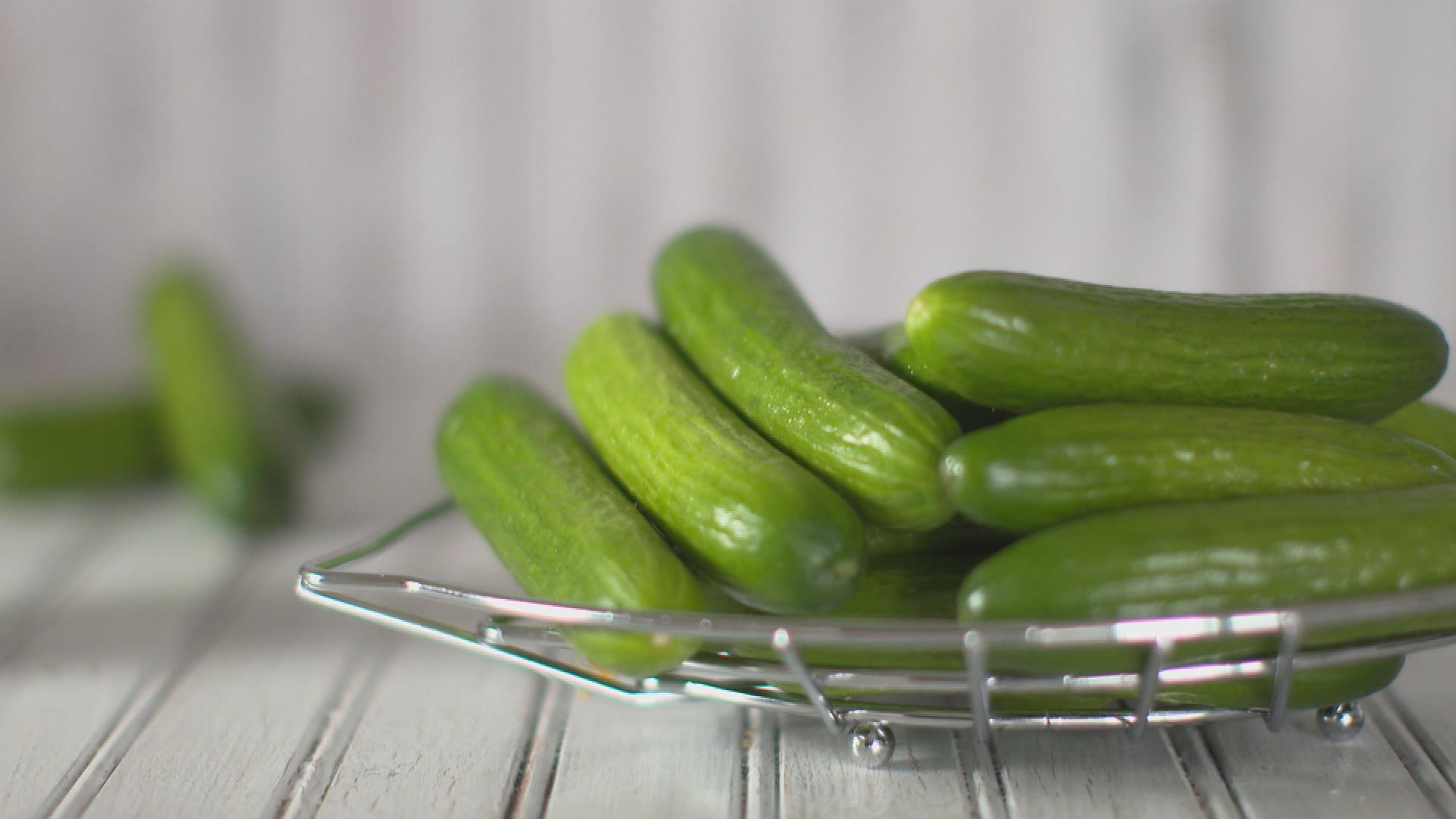 Jardinage : comment contrôler la chrysomèle du concombre | OHdio ...